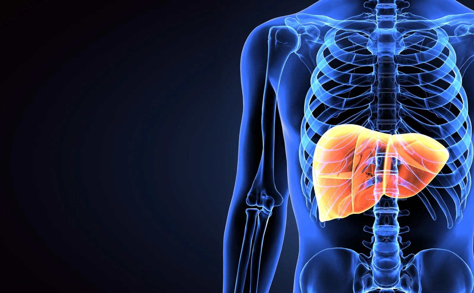 FibroScan Liver Health Assessment | Non-Invasive Liver Testing at UME ...